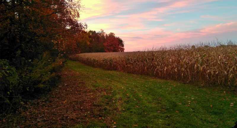 Winfield Township - History